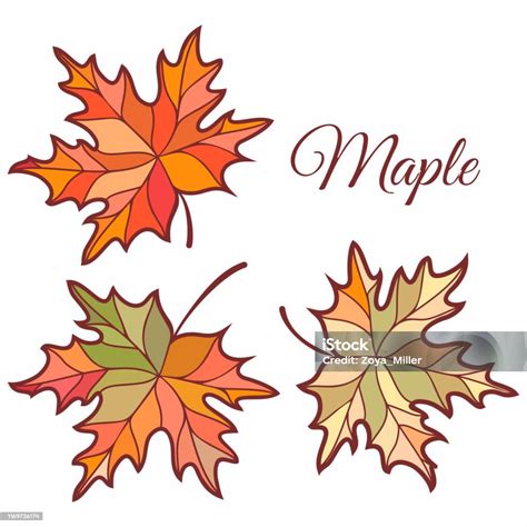 스테인드 글라스 일러스트에 단풍 잎 오렌지 단풍 나무 잎 가을 디자인 숲 테마입니다 단풍 단풍 잎 가을 10월에 대한 스톡 벡터