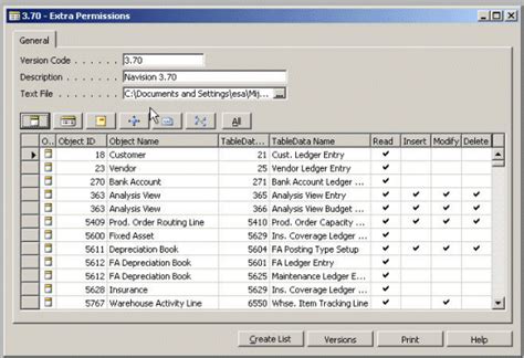 Extra Permissions View Navision