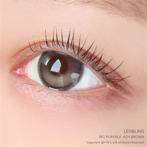 네이버 인플루언서