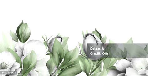 흰 꽃과 매끄러운 테두리 결혼식 문구 인사말 등을 위한 봄 꽃 패턴 0명에 대한 스톡 벡터 아트 및 기타 이미지 0명 꽃