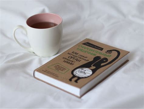 Книга и чай