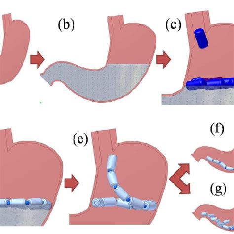 Robotic Schemes A Homogeneous Scheme And B Heterogeneous Scheme