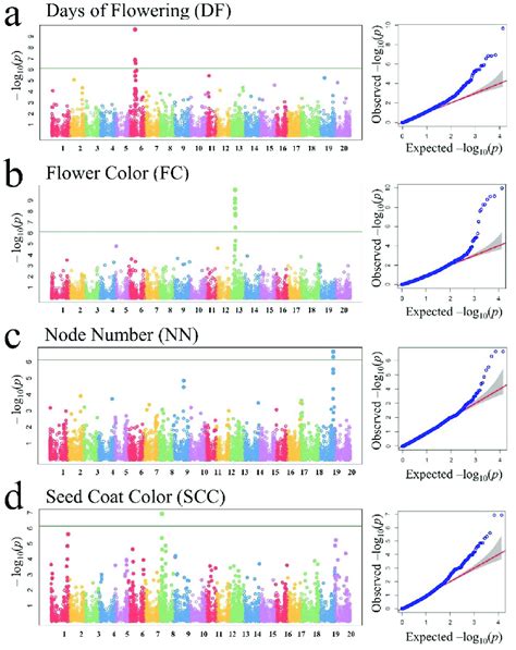Manhattan And Quantile Quantile Plots Generated By Gapit To Identify