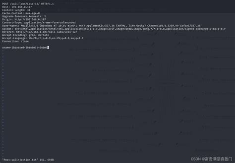 sqli labs全通关教程（手工注入 工具使用sqlmap） sqlilabs csdn博客