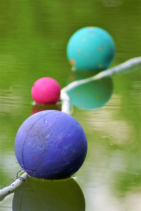 Free Images Leaf Round Flower Glass Paris Pond Food Green