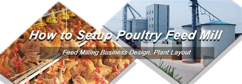 Expert Guidance Optimize Poultry Feed Milling Plant Layout Design
