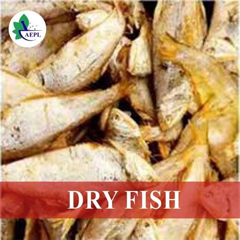India Dry Fish For Household Packaging Type Vaccum Packed At Rs 300