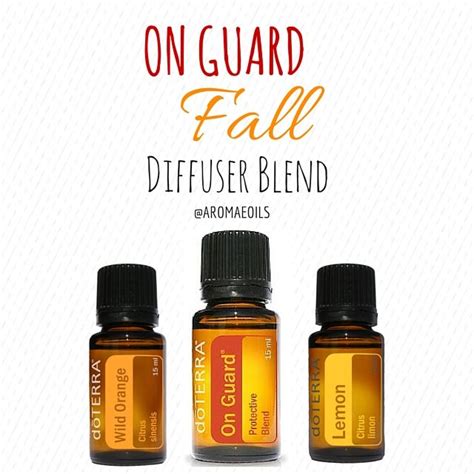 On Guard Fall Diffuser Blend Add 3 4 Drops Of On Guard And 3 4 Drops Of W… Doterra Essential