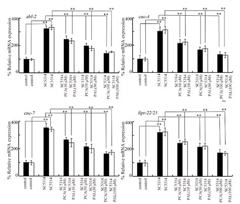 Figure 3 From Procatechuic Acid And Protocatechuic Aldehyde Increase