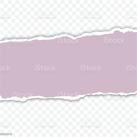 찢어진 종이 스트립 벡터 일러스트 레이 션 템플릿 찢어진 된 종이 가장자리 가장자리에 대한 스톡 벡터 아트 및 기타 이미지