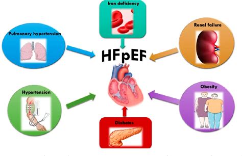Figure 1 From Treatment Of Hfpef Beyond The Sglt2 Is Does The Addition Of Glp 1 Ra Improve