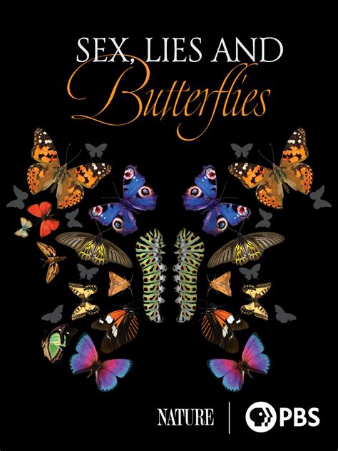 Prime Video Sex Lies And Butterflies