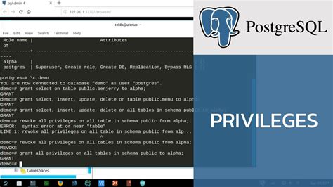 สอน postgresql การสร้าง user และกำหนดสิทธิการใช้งาน privileges ให้