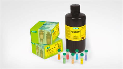 蛋白表达 鉴定 定量 Bio Rad