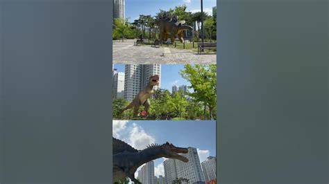 울산에서 둘리 엄마 발견 Youtube