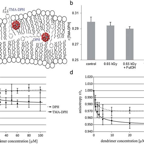 A The Location Of Ans Tma Dph Dph In The Lipid Bilayer B Download Scientific Diagram
