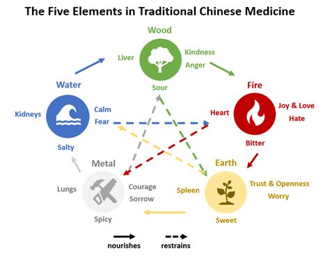 Tcm The Five Elements Profiles
