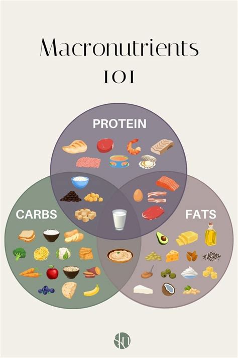 Macronutrients 101 Macronutrients Healthy Lifestyle Nutrition Tips