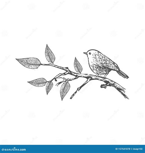 Simple Bird In The Branch Hand Draw Style Logo And Vector Illustration Stock Vector