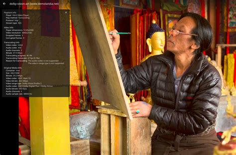 jellyfin hdr tone mapping hardware acceleration insight and feedback