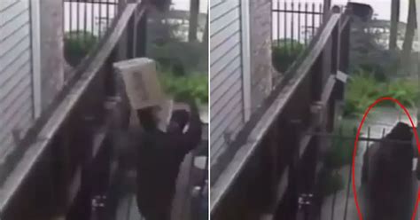 Shock Cctv Shows Delivery Driver Hurling Fragile Parcels Over Gate Then Urinating On House The