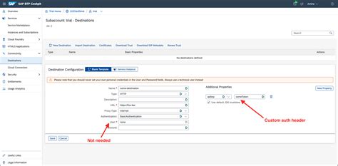 use custom authentication header for a new destina sap community
