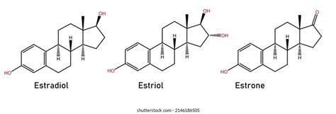 Estriol Images Stock Photos Vectors Shutterstock