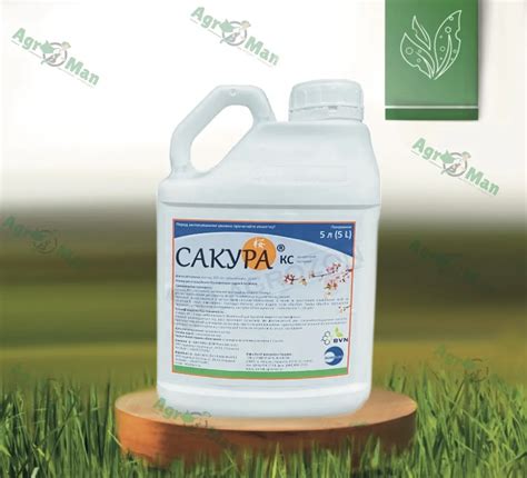 Фунгицид Сакура – Купить Цена Оригинал 100% – АгроМен