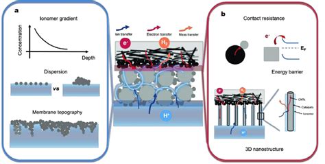 Schematic Of Tailoring Interlayer Interface Structures Of Gdlcliem
