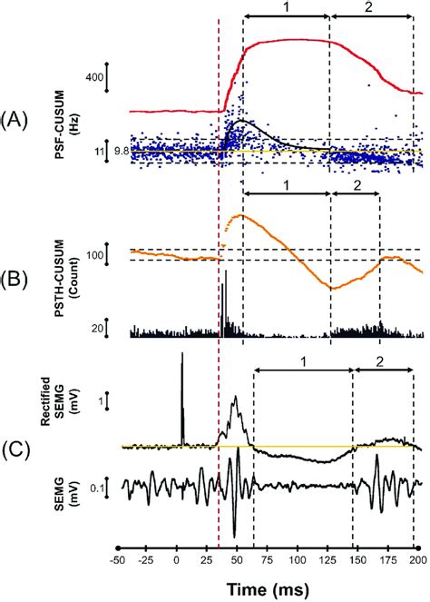 representation of mep and early 1 csp and late 2 rebound activity