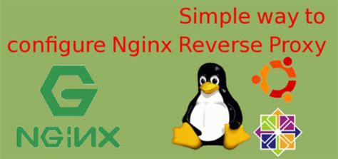 Simple Guide On How To Setup Nginx Reverse Proxy LinuxTechLab