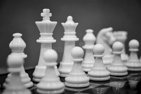 White Chess Pieces Chessboard With Gray Background Stock Image Image