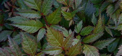 Vintage Textured Stone Suface Premium Photo