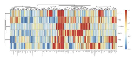 Expression Of Bone Markers In Prostate Cancer Patient Datasets A Download Scientific Diagram