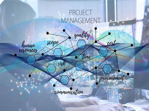 A Custom Project Management Software Set Up With Automation And Workflows Upwork