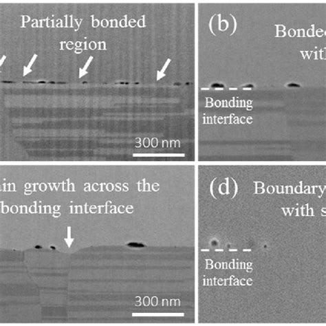 Cross Sectional Secondary Sem Images Showing The Microstructures In The