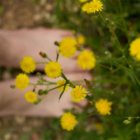 Residuo Cero Qué es Y cómo se hace Sabi says Lyssna här Podtail