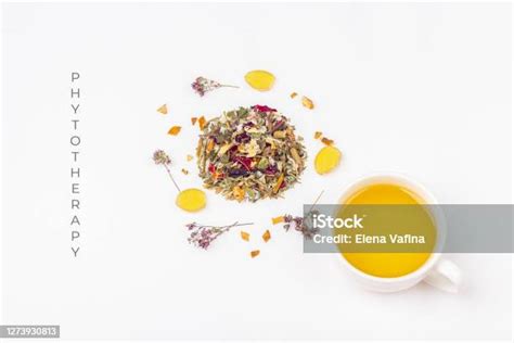 흰색 배경에 다른 드라이 티 잎과 꽃 잎의 구색과 녹차 컵의 레이아웃 다도용 유기농 허브 해독 비타민 핫 드링크 닫기 텍스트에 대한 공간을 복사 0명에 대한 스톡 사진 및