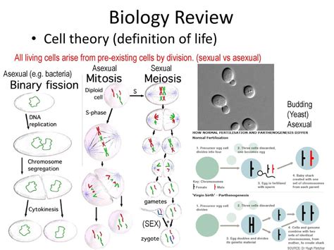 BIOCHEMISTRY Ppt Download
