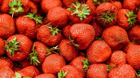 Ai Informed Robot Prototype Can Find Hidden Strawberries Technology Networks