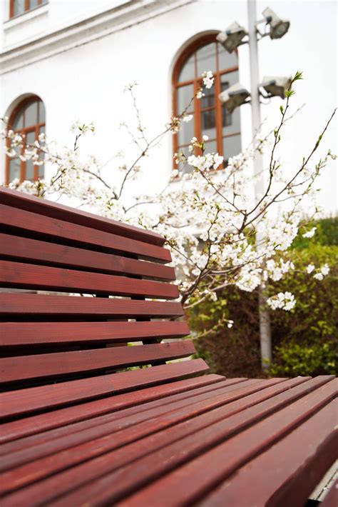 თბილისის სახელმწიფო უნივერსიტეტი • Tbilisi State University ⚖ ივანე