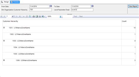 Reporting Services Hierarchy Level To Display From Than Level Down On