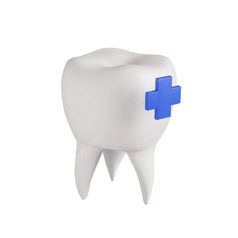 3d Three Dimensional Tooth Structure Model Medical 3d C4d