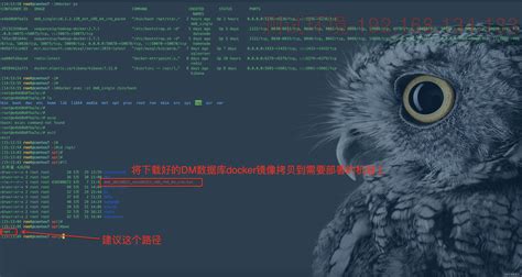 Docker安装达梦（dm）关系型数据库，dbeaver远程连接使用数据库达梦 Docker Csdn博客