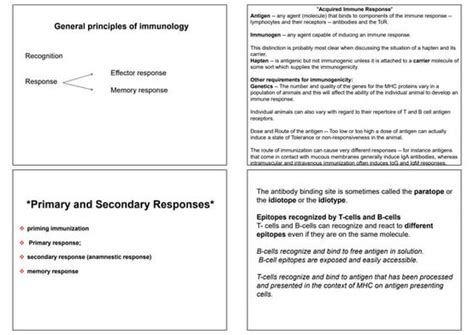 General Organization And Inheritance Of Mhc Pptx