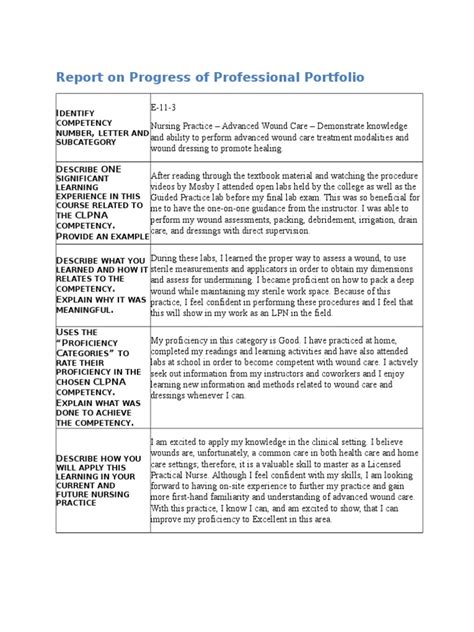 Competency Portfolio 2003 Pdf