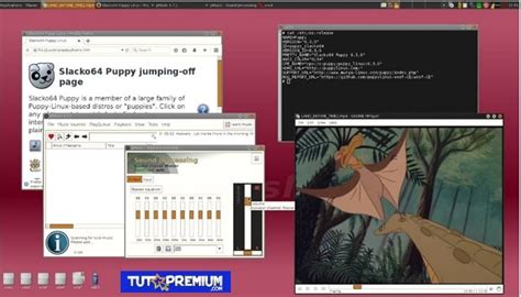 7 Mejores Sistemas Operativos Linux Para Instalar Y Ejecutar Desde Un USB Tuto Premium