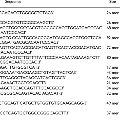 Sequence Of Oligonucleotides Used Either To Prepare Double Stranded Dna Download Table