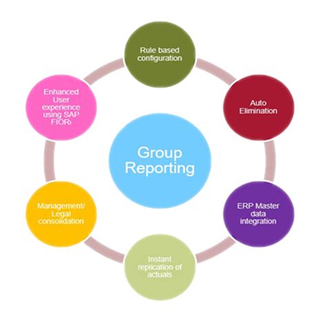 Group Reporting In SAP S V Solve Inc