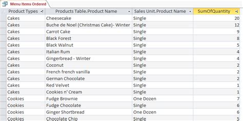 Access 2013 More Query Design Options